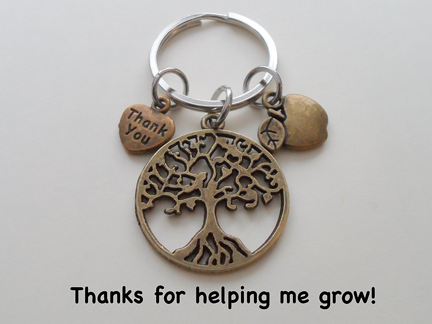Teacher Appreciation Gifts | "Thank You" Bronze Tree & Apple Keychain ...
